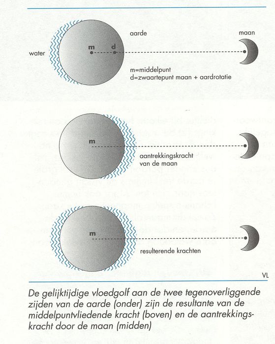 Waarom is het bij vloed ook vloed aan de andere kant van de Aarde? - Ik ...