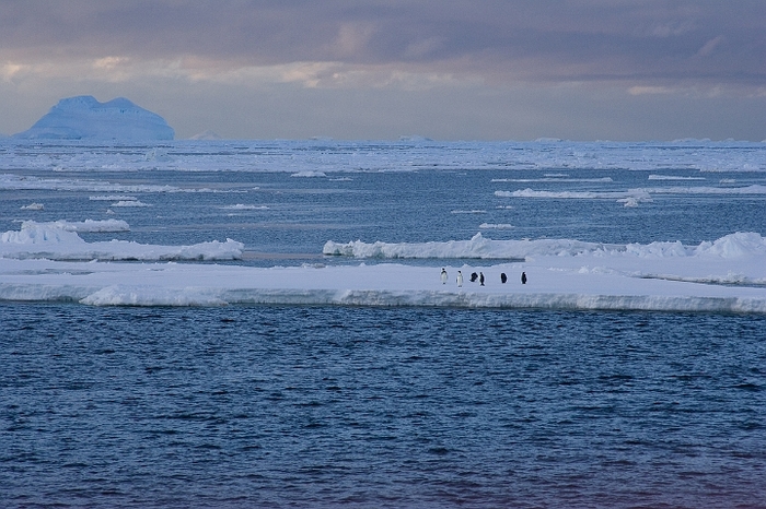 Waarvoor gebruikt men een ijsbreker? - Ik heb een vraag (2025)
