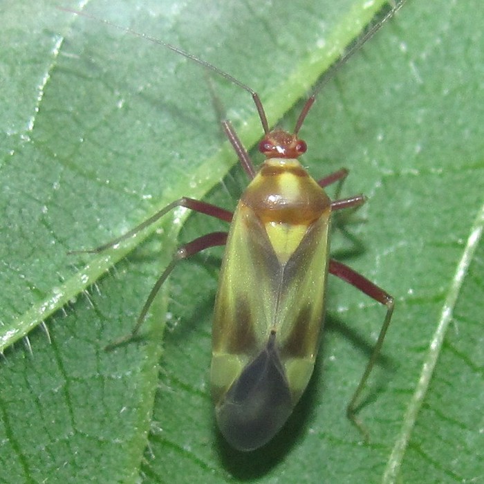 What wants is this? - Techzle