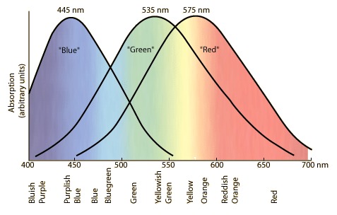 Waarom kleurt de hemel 's avonds nooit van blauw naar groen en dan pas ...