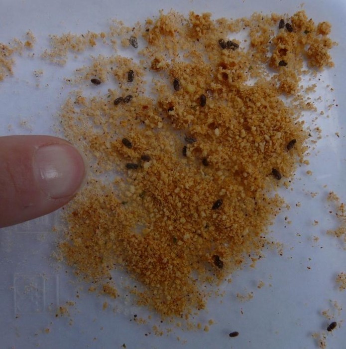 Hoe hou je kevers uit je eetwaren? - Ik heb een vraag (2025)