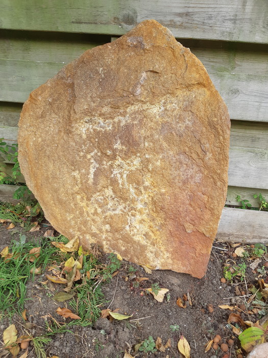 Wat voor soort steen is dit? En wat zijn de lichte vlekken? - Ik heb ...