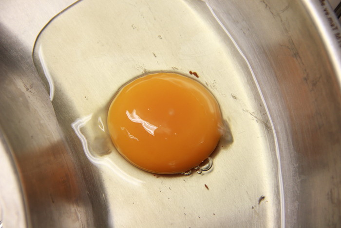 De kiemschijf op de dooier van een jong ei draait altijd naar de ...